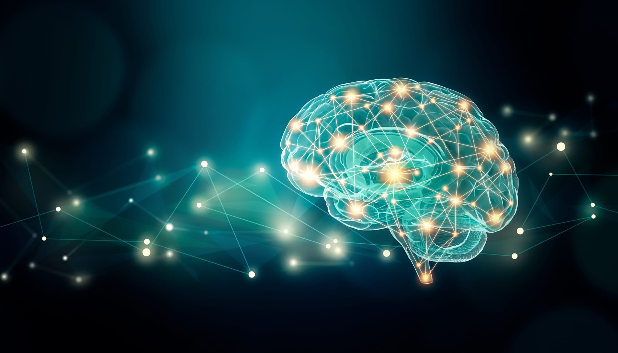 7 Consejos Para Mantener La Mente En Forma Hallin Mental Care Psicóloga Y Psiquiatra Marbella